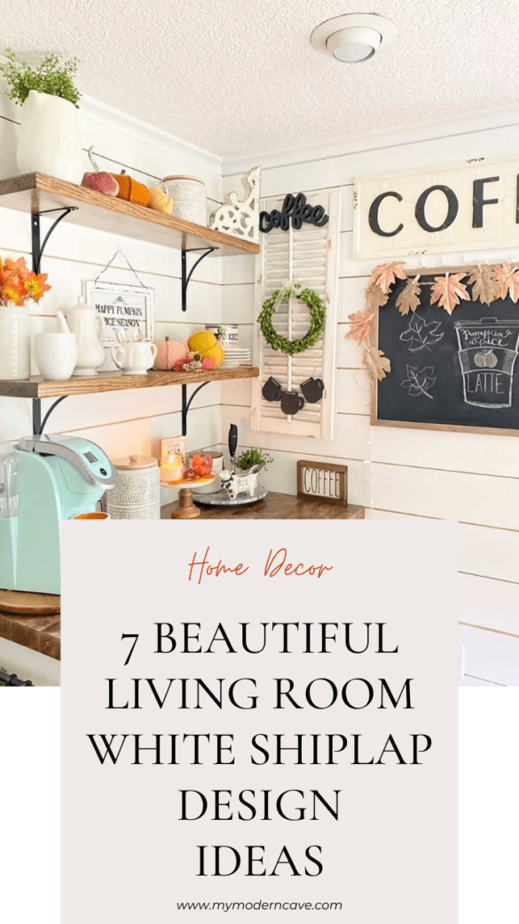7+ Crisp White Shiplap Design Ideas for a Charming Farmhouse-style Home ...