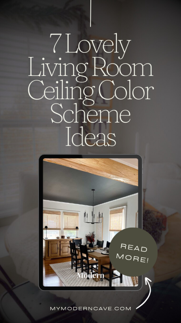 7+ Memorable Ceiling Color Scheme Ideas for a Contemporary Farmhouse ...